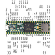 Teensy 3.5 / 3.6 - Teensy 3.6
