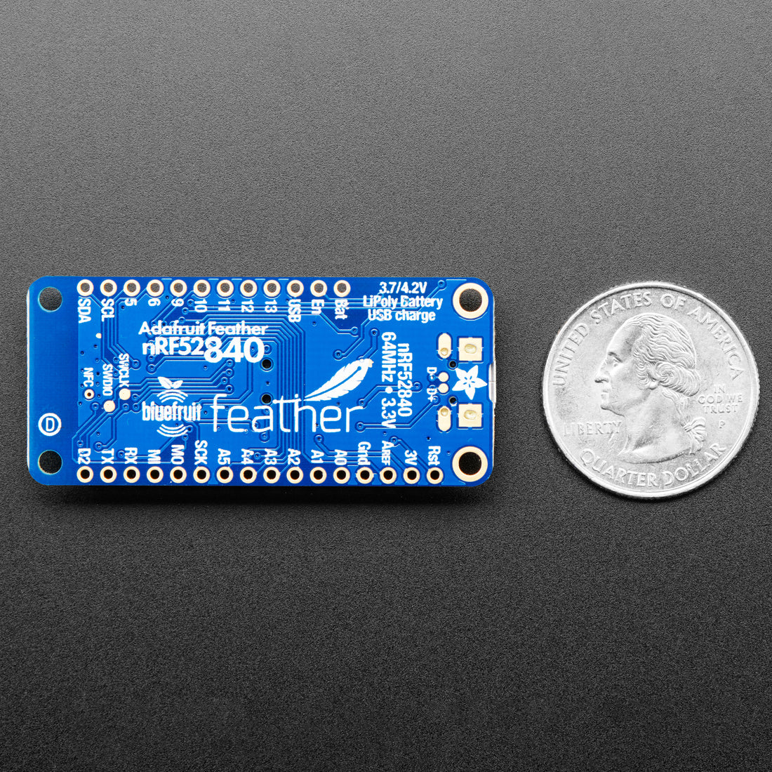 Adafruit Feather nRF52840 Express