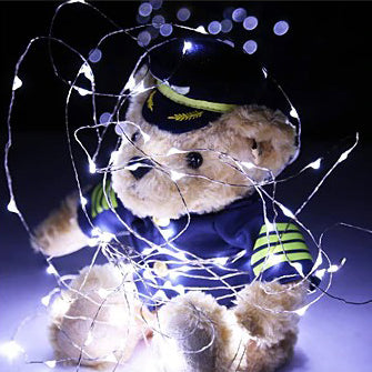 5m Micro-LED Wire (50 cool white LEDs)