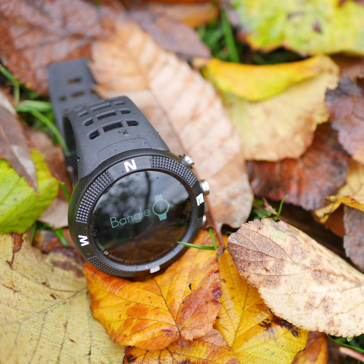 Bangle.js Smart Watch