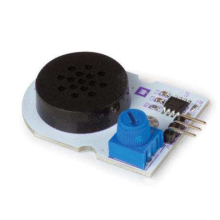 Digital Speaker Module